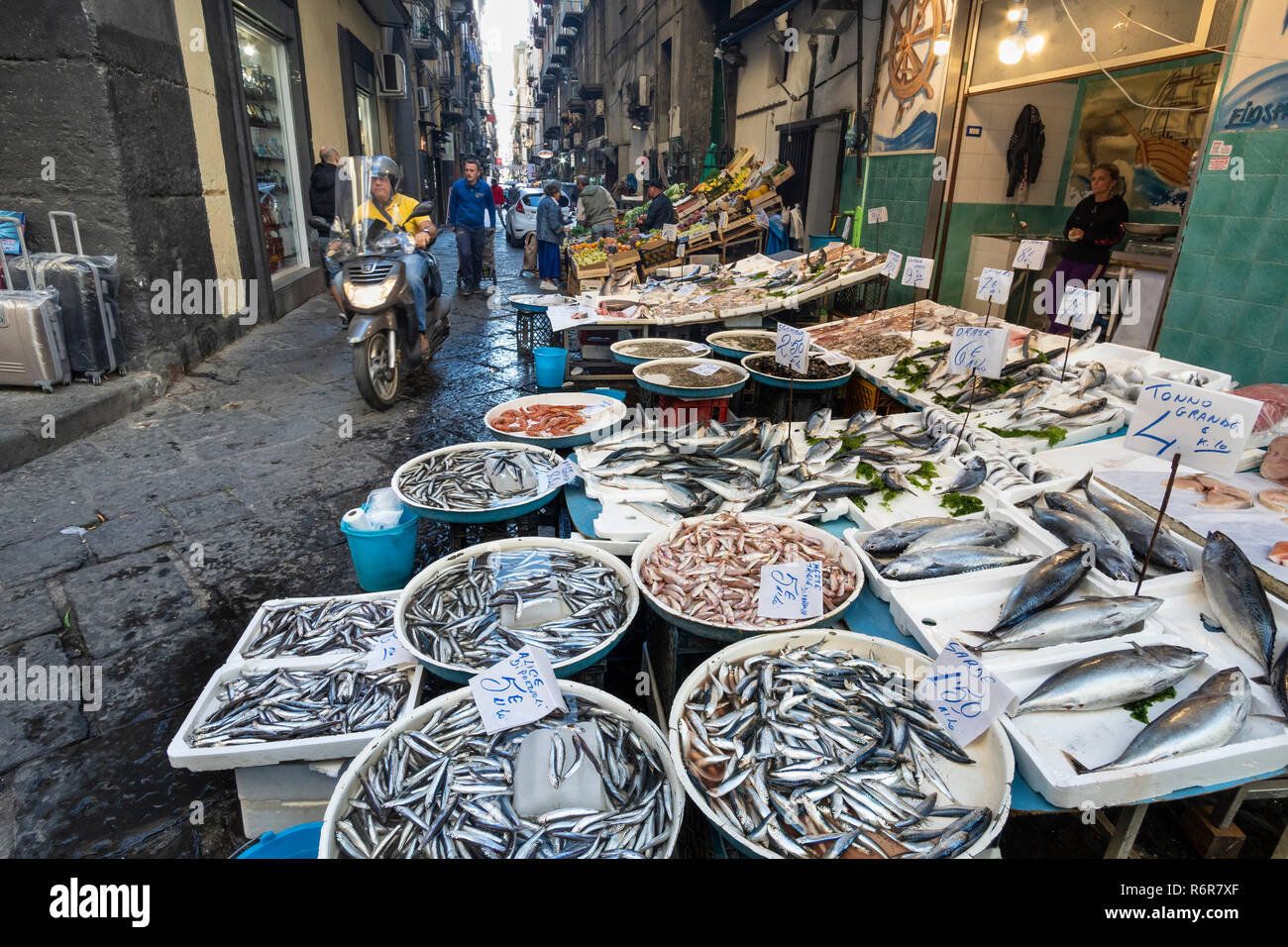 A fishmongers stall in the market on the Via Pignasecca on the northern ...