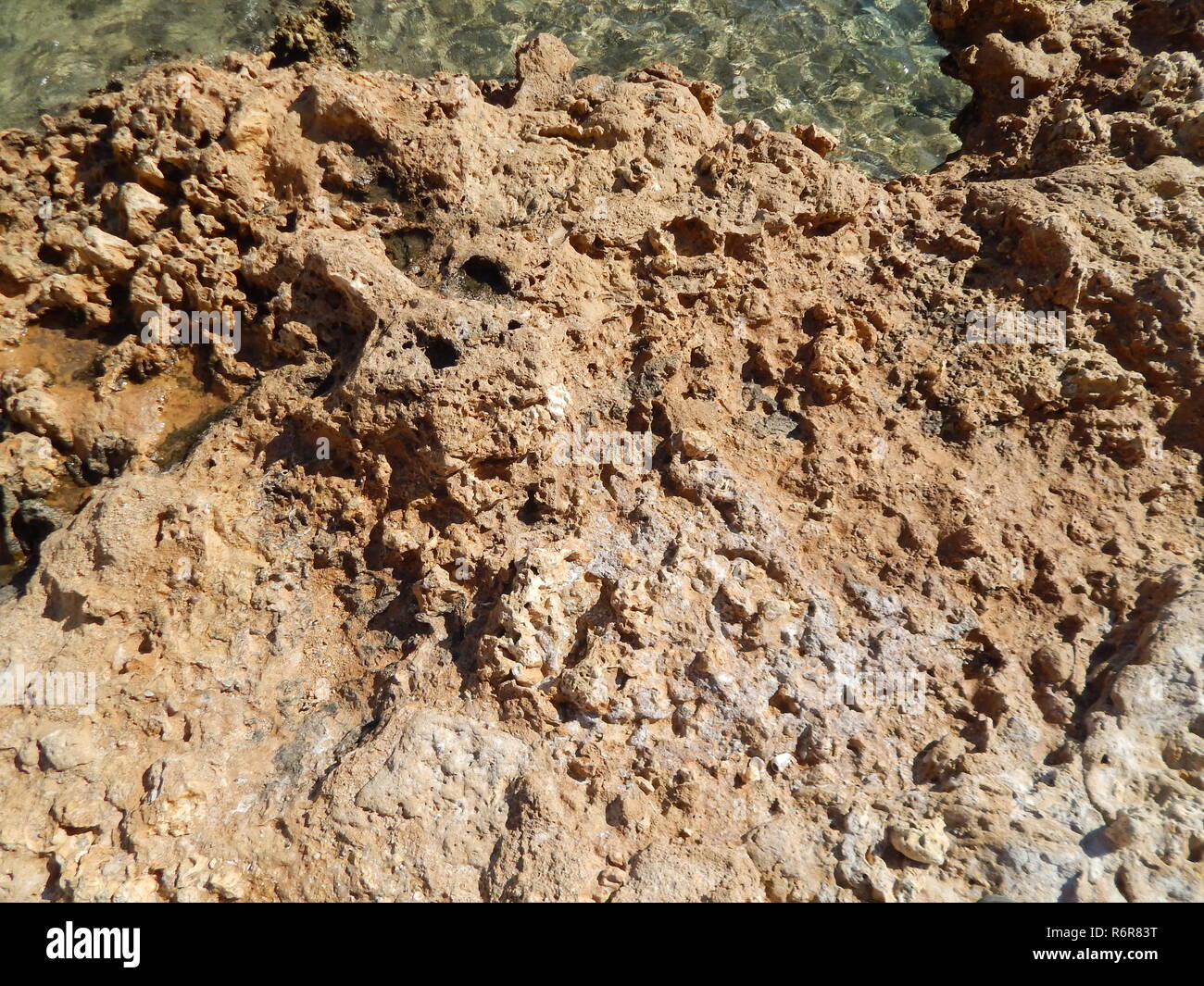 Stone texture on the Red Sea of Egypt Stock Photo - Alamy