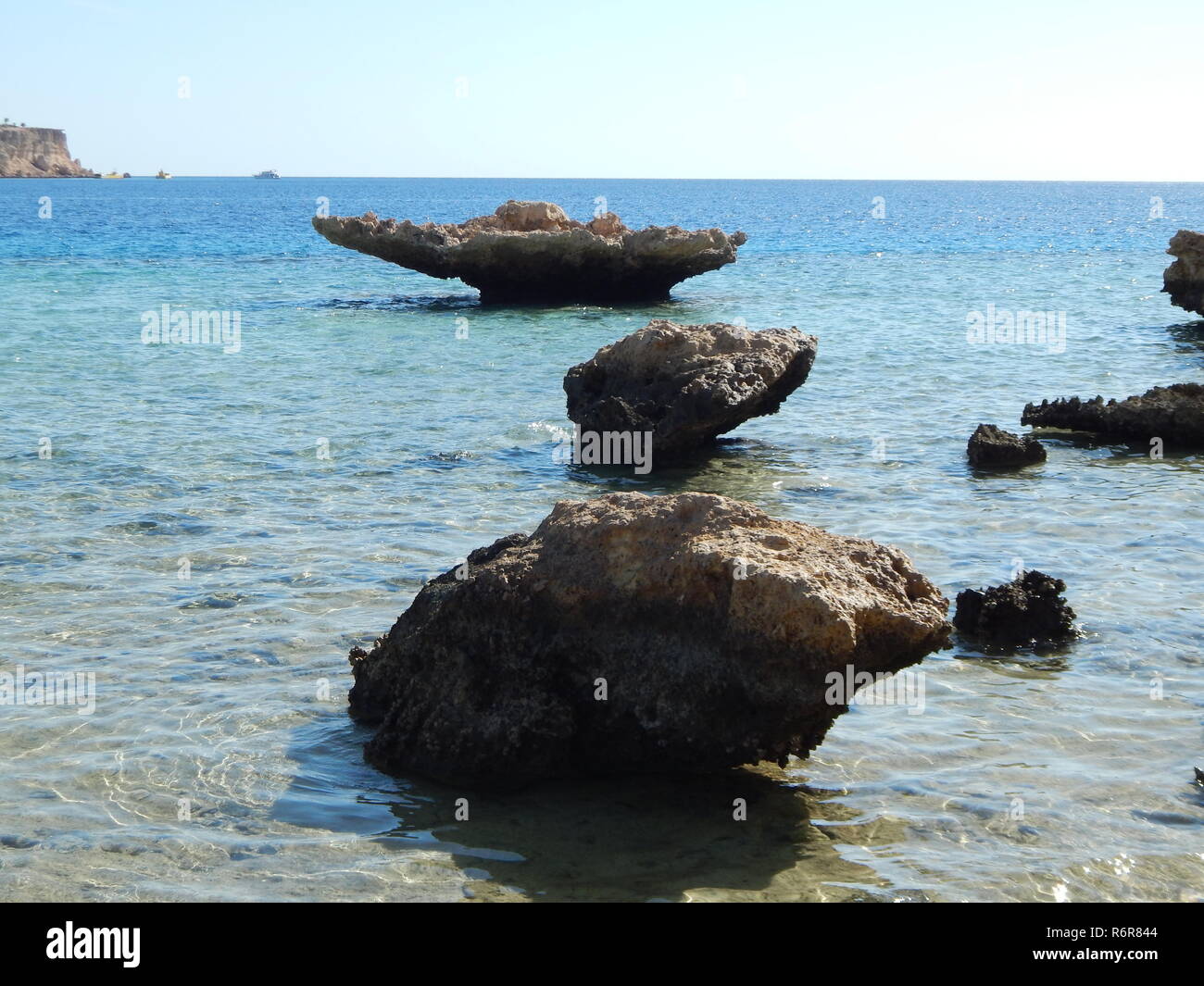 Stone texture on the Red Sea of Egypt Stock Photo - Alamy