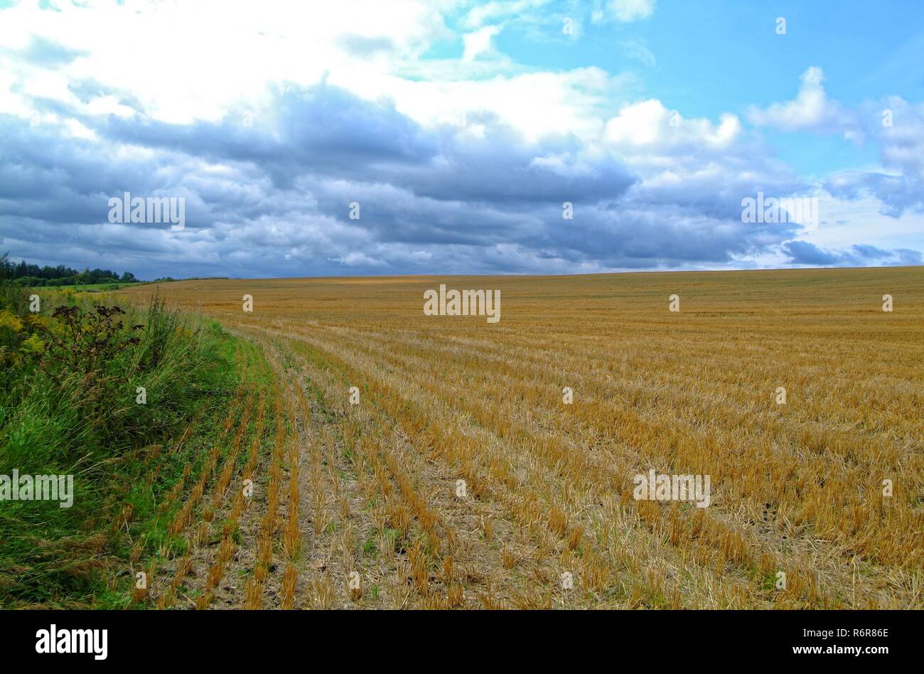Sloping field in autumn in Russia Stock Photo - Alamy