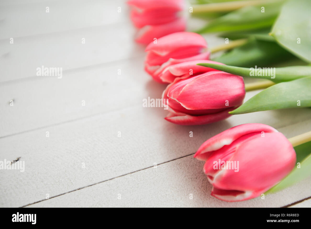 Spring Love Romance Tulip Stock Photo - Alamy
