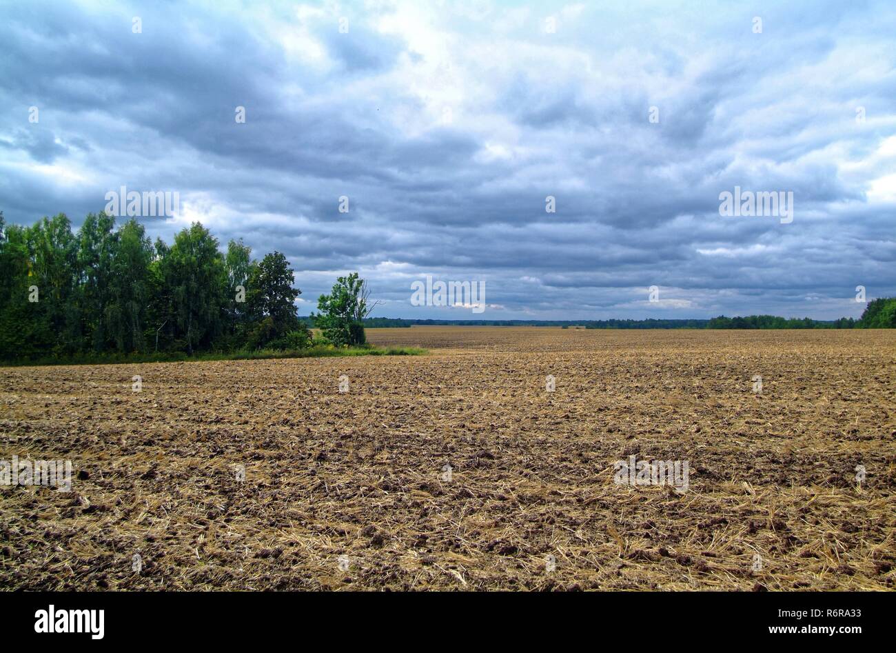 Sloping field in autumn in Russia Stock Photo - Alamy