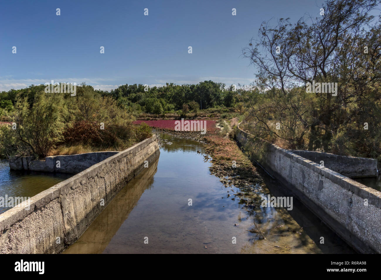 Montenegro - A view at a portion of the Nature Park Solana Ulcinj ...