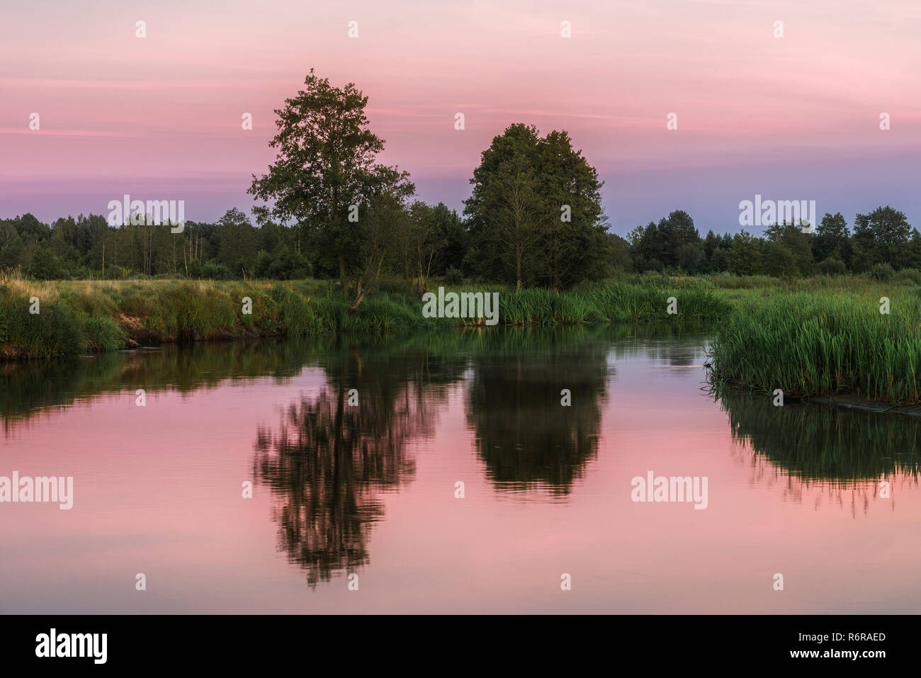 Summer landscape with trees reflection in river Stock Photo - Alamy