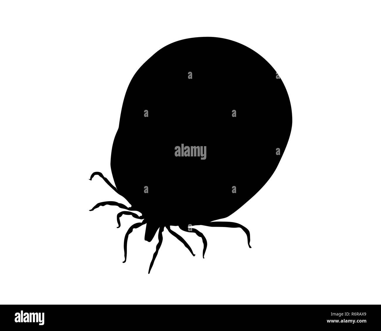 Tick silhouette hi-res stock photography and images - Alamy