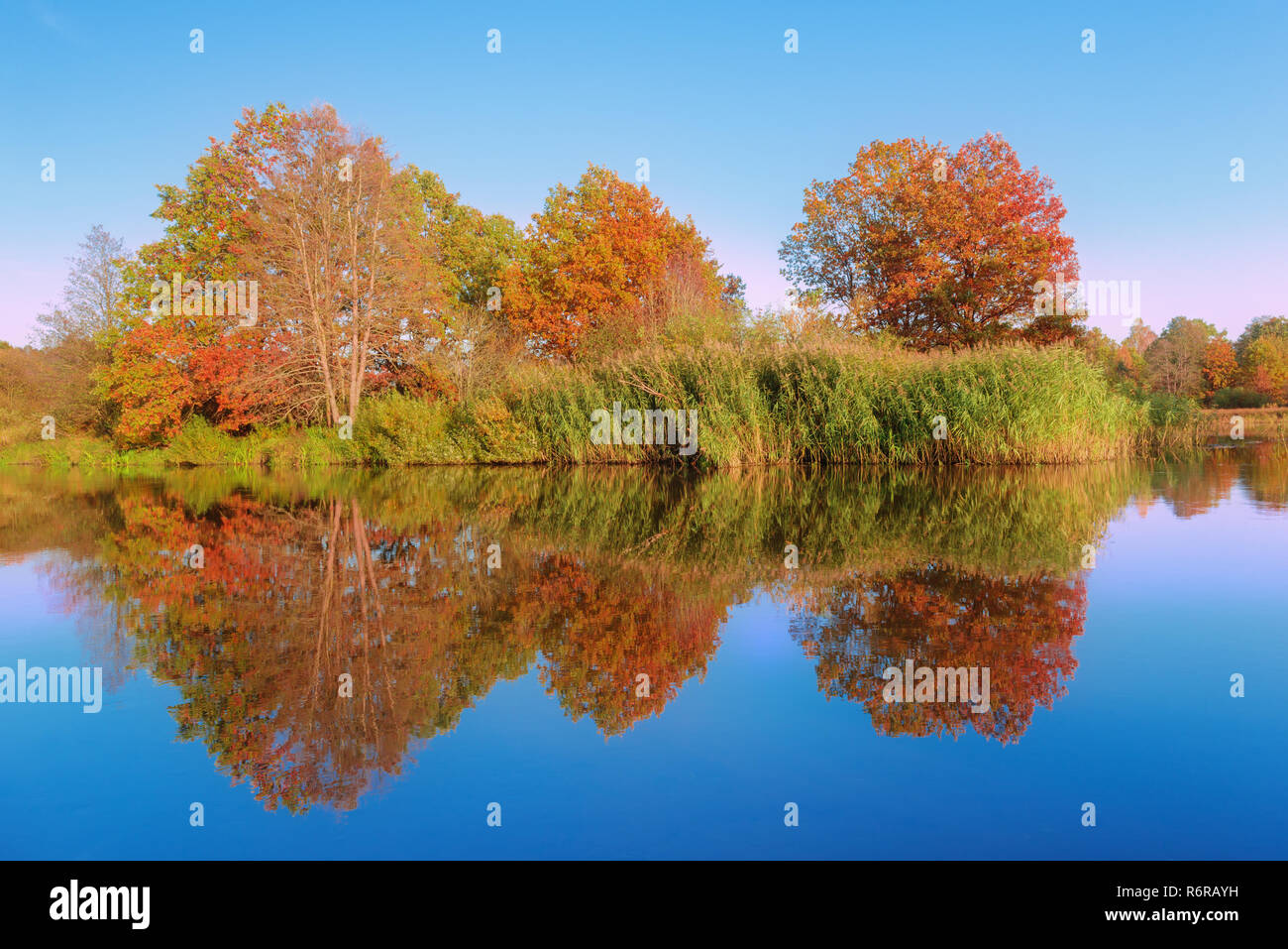 Landscape with autumn color trees reflection in river Stock Photo - Alamy