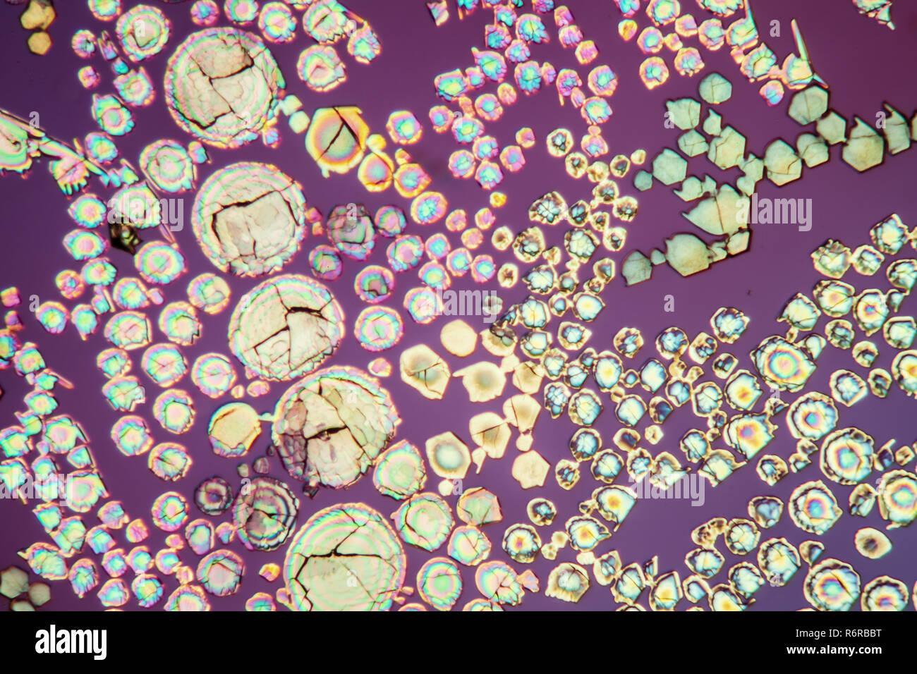Polarized light microscopy hi-res stock photography and images - Alamy