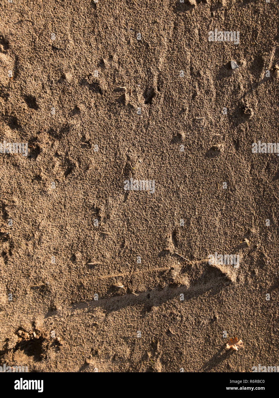Natural sand background texture Stock Photo - Alamy
