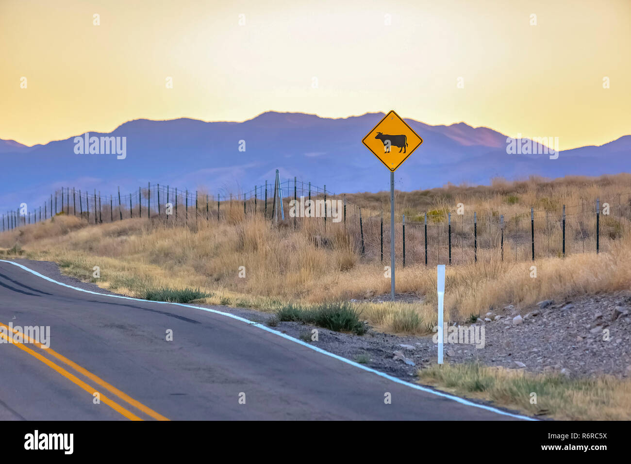 Highway 68 in Utah with cattle crossing road sign Stock Photo - Alamy