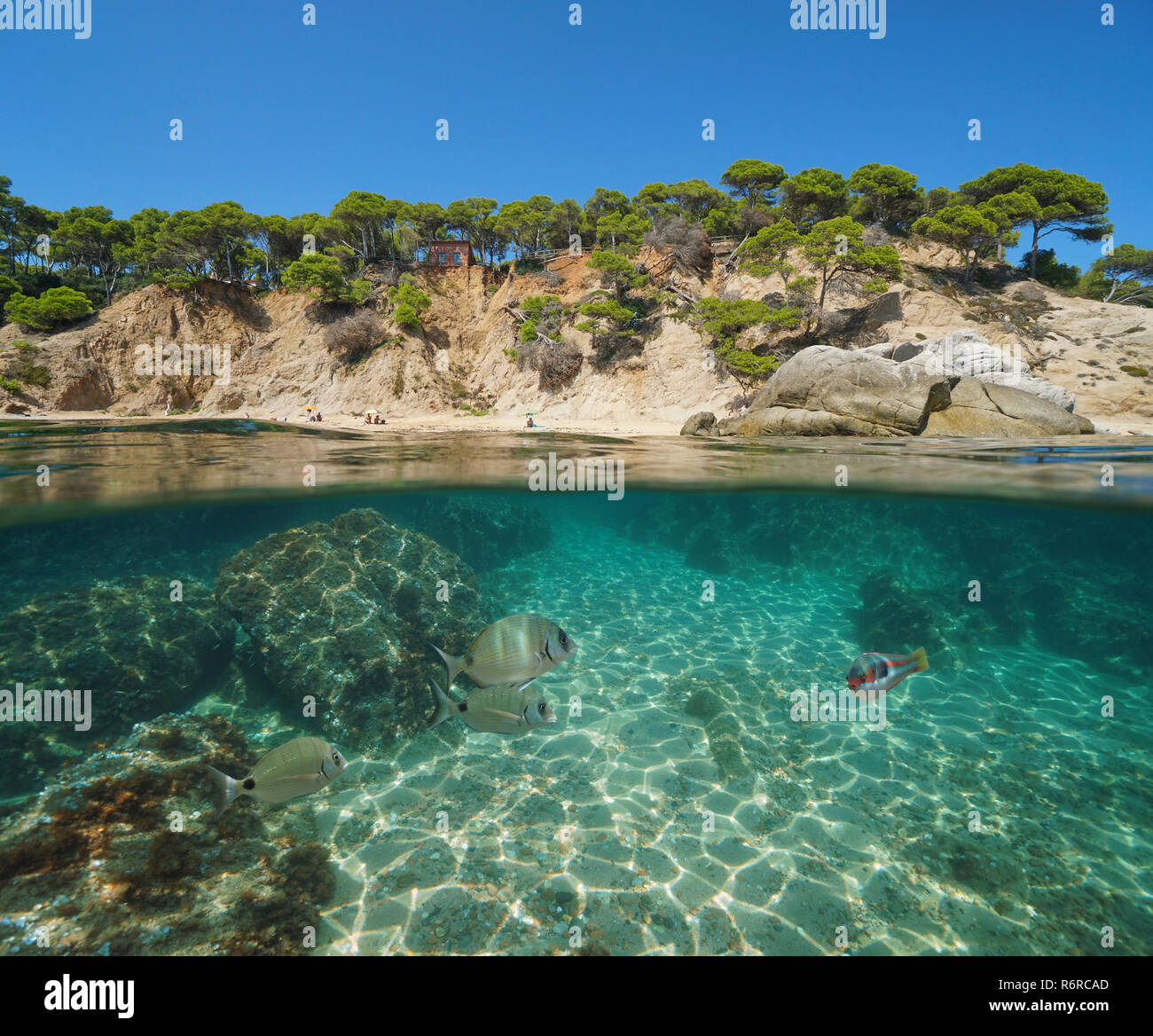 Underwater tourism hi-res stock photography and images - Alamy