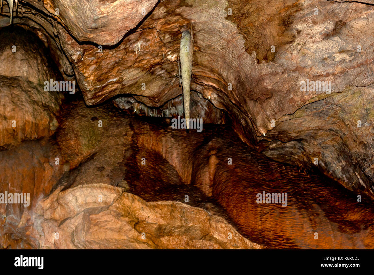 Inside Kents Cavern prehistoric cave Stock Photo - Alamy