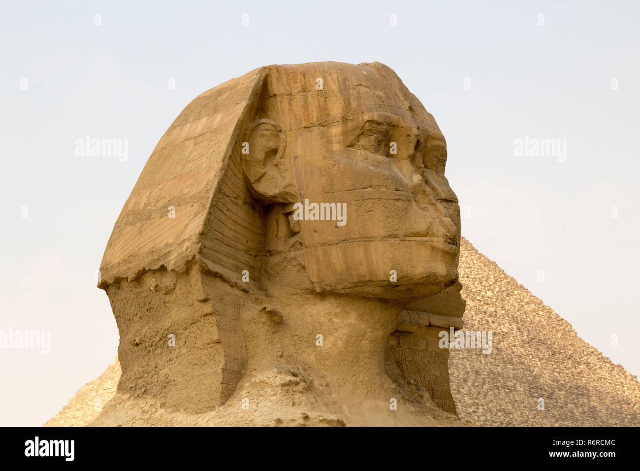 Cairo, Egypt – November 12, 2018: photo for the Sphinx in the Pyramids ...