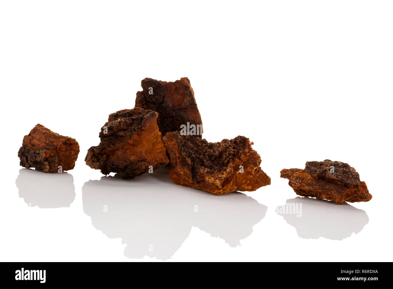 Chaga mushroom inonotus obliquus Cut Out Stock Images & Pictures - Alamy