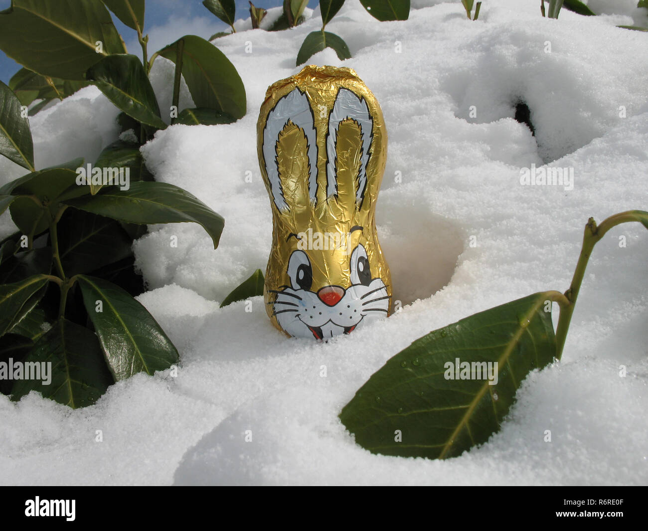 easter bunny in snow,easter bunny in snow,easter bunny in snow Stock ...