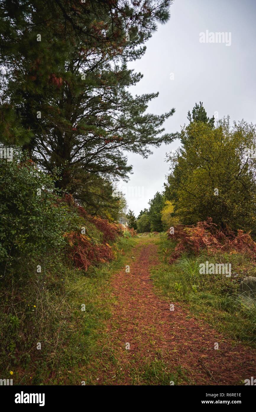 the mountain in the nature landscape Stock Photo - Alamy