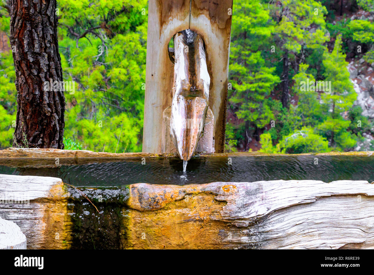 Wonders Of Nature Stock Photo - Alamy