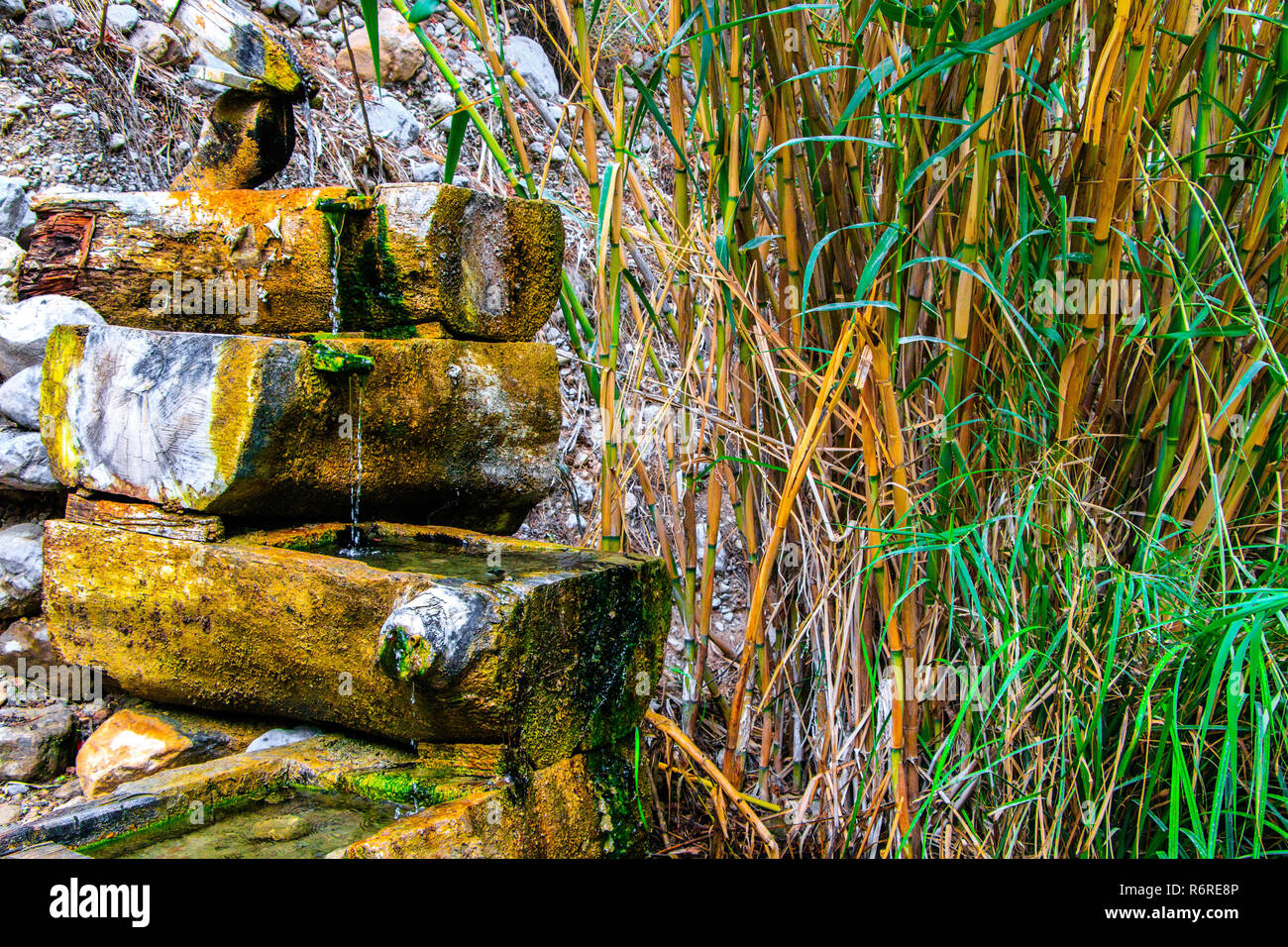 Wonders Of Nature Stock Photo - Alamy