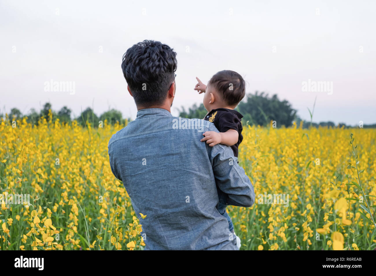 Baby hemp plant hi-res stock photography and images - Alamy