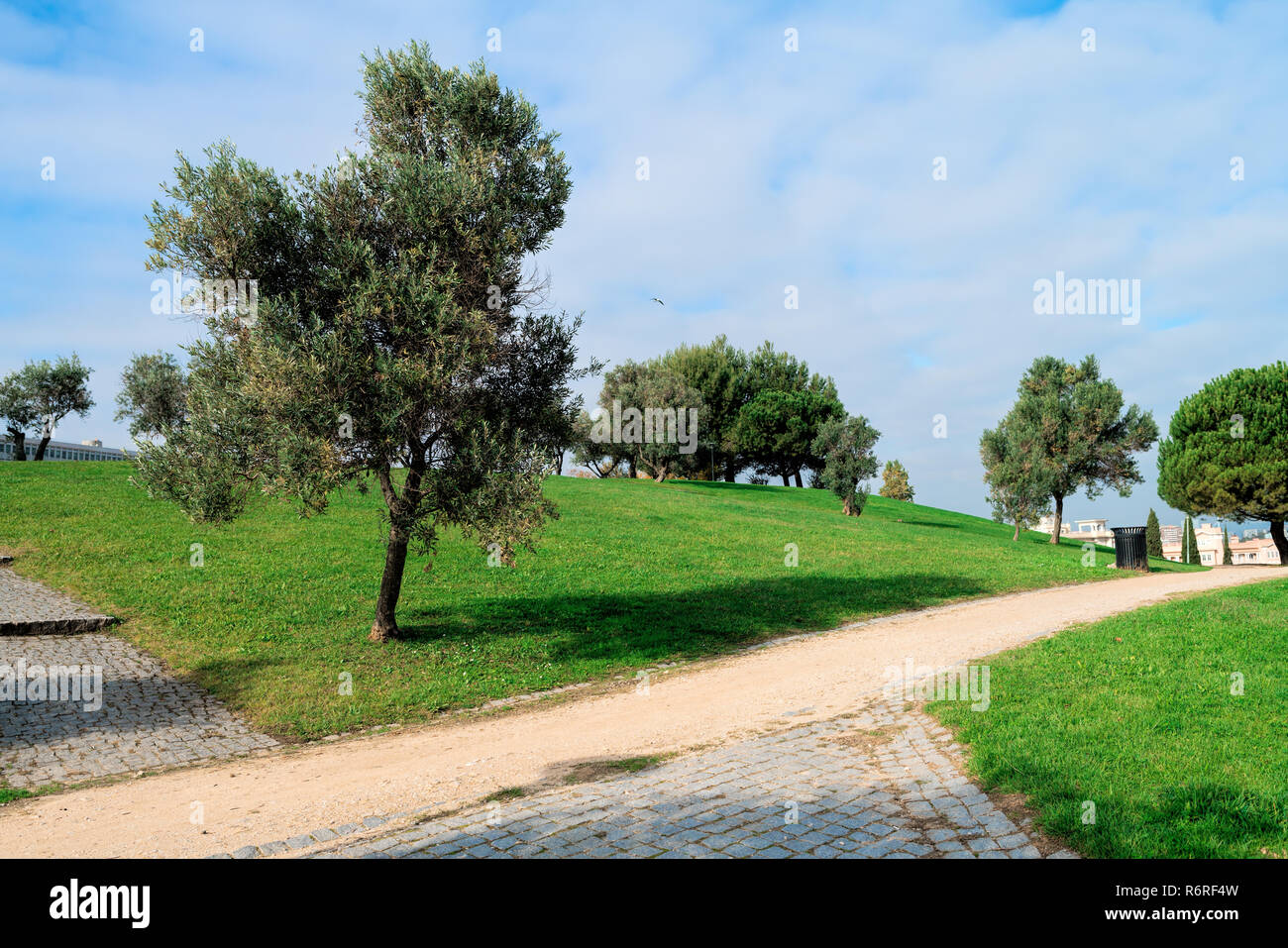 Portugal trees hi-res stock photography and images - Alamy