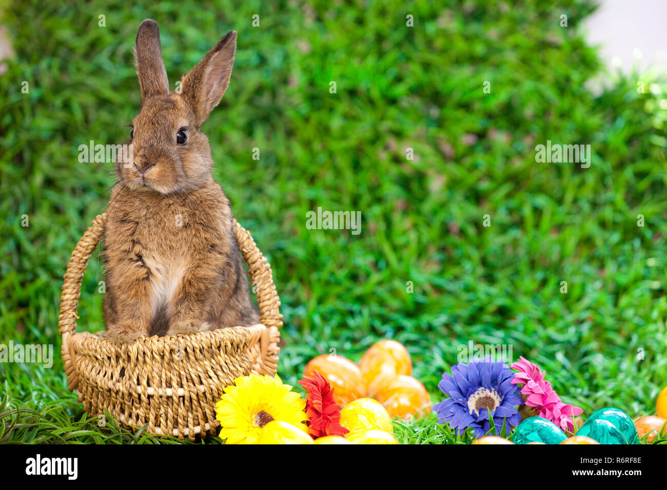 Easter eggs and little bunny Stock Photo - Alamy