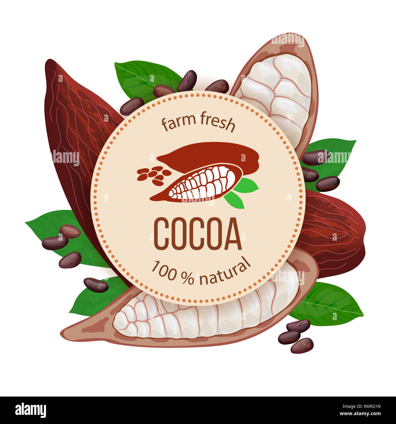 Cocoa pod illustration hi-res stock photography and images - Alamy