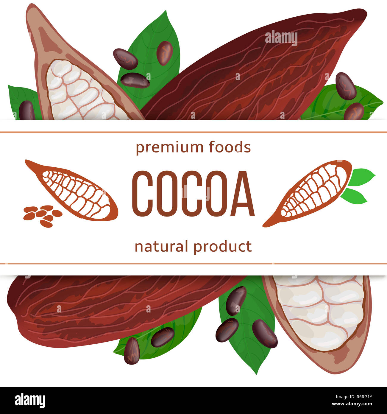 Cocoa pod illustration Cut Out Stock Images & Pictures - Alamy