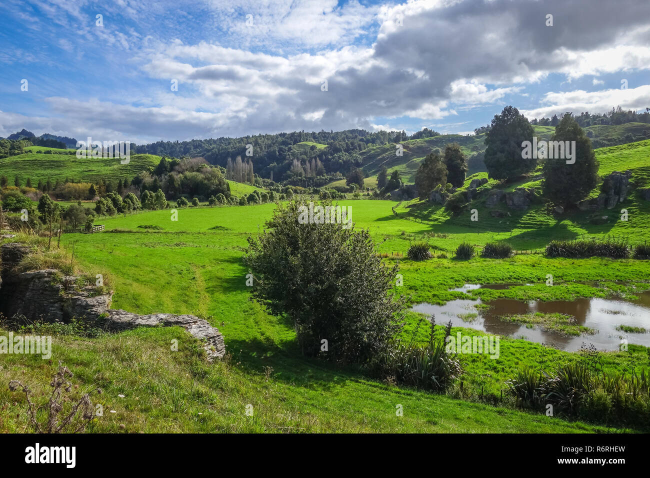 New Zealand countryside landscape Stock Photo - Alamy