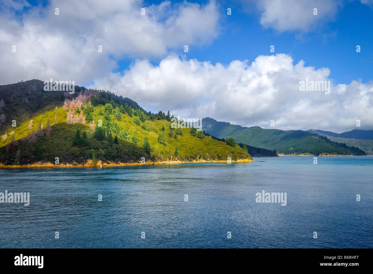 Marlborough Sounds, New Zealand Stock Photo - Alamy
