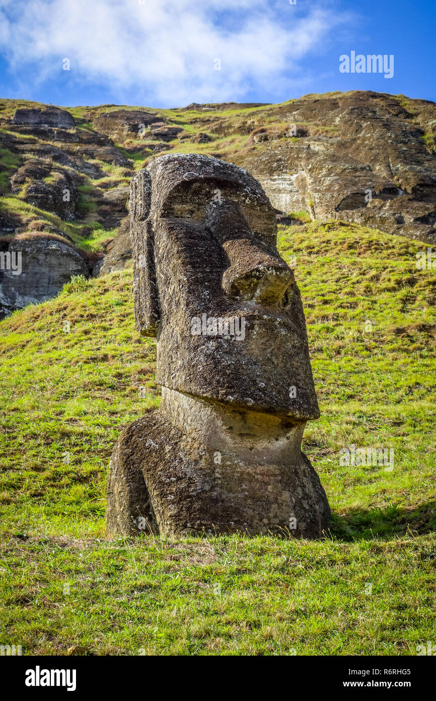 Moai statue on Rano Raraku volcano, easter island Stock Photo - Alamy
