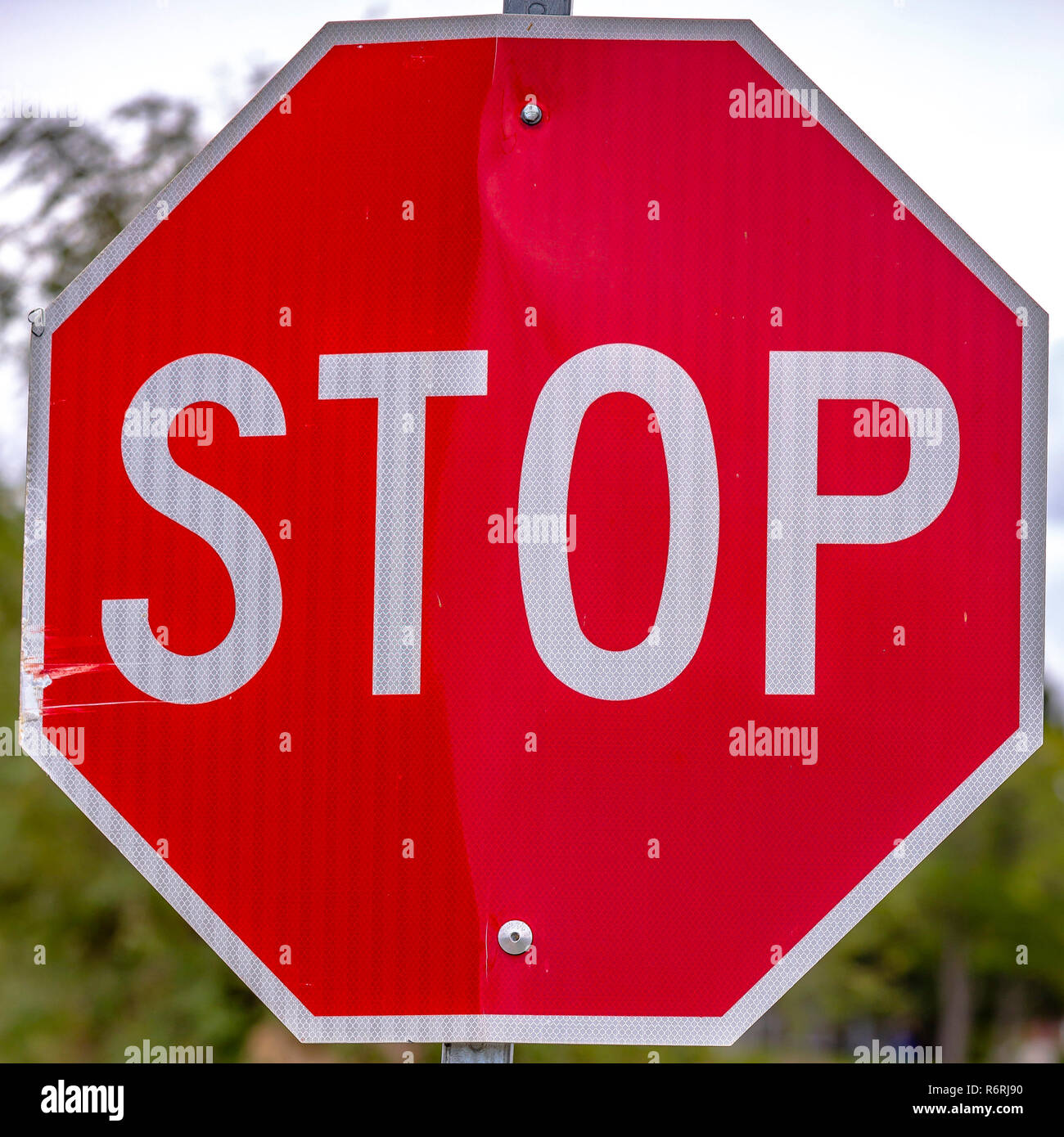 Red stop sign against trees and sky on a sunny day Stock Photo - Alamy