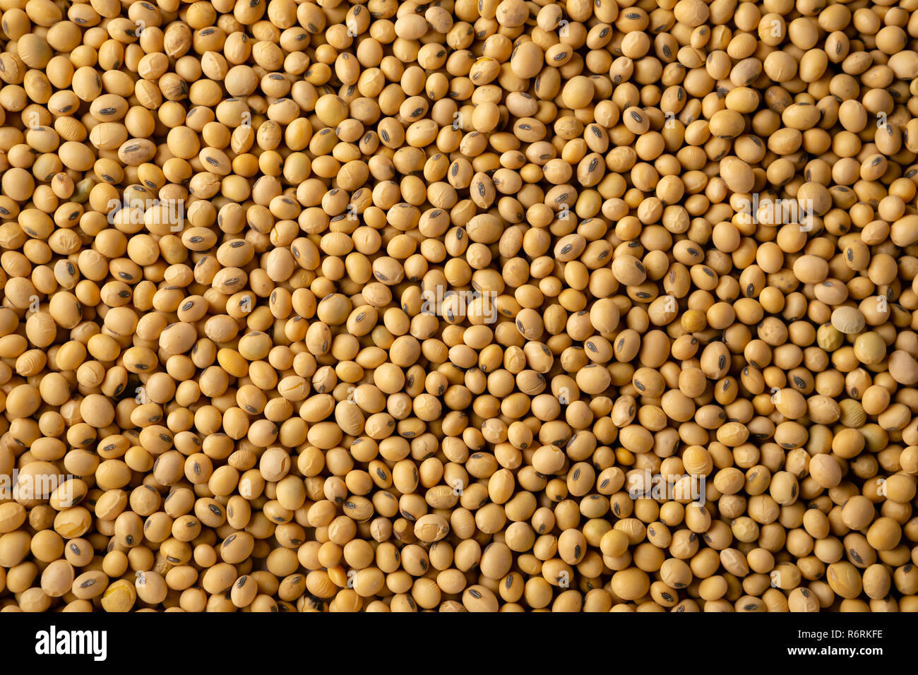 Raw soybeans background Stock Photo - Alamy