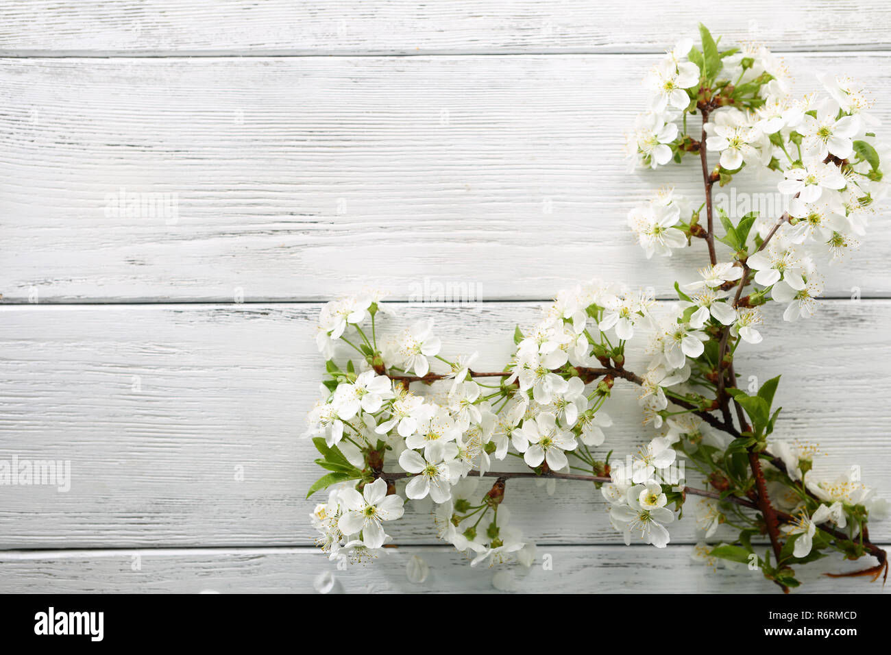 Rustic spring background with branch Stock Photo - Alamy