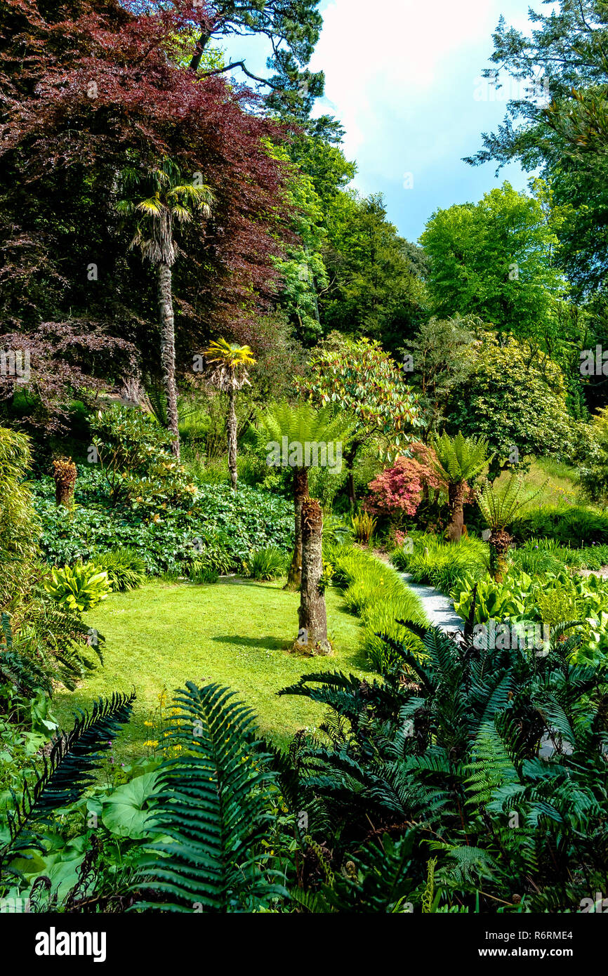 Cornish view - Trebah, Cornwall, United Kingdom Stock Photo - Alamy