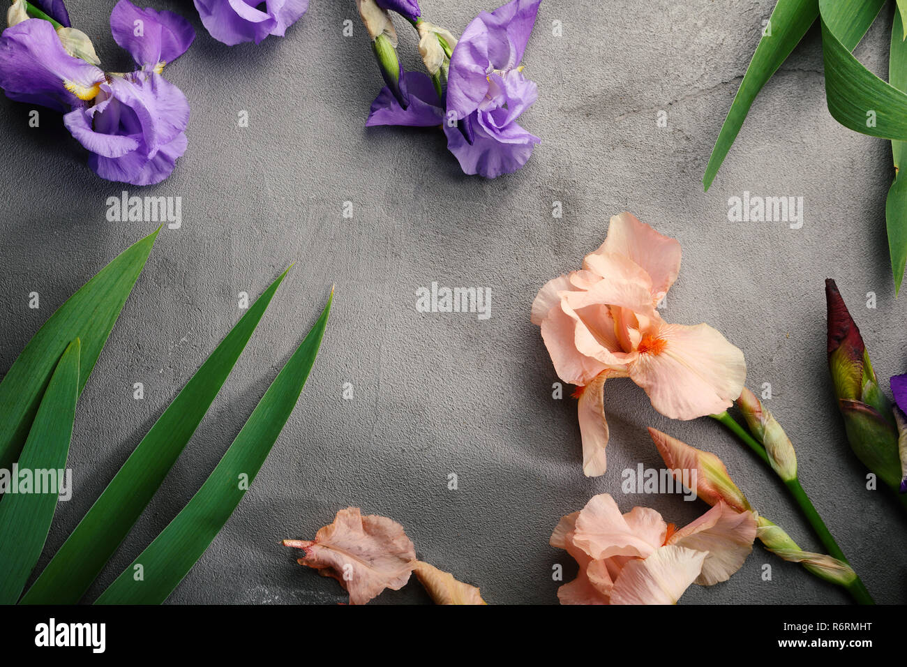 Concrete background with iris blossom top view Stock Photo - Alamy