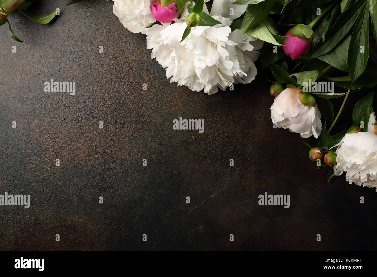 Fresh peony top view background Stock Photo - Alamy