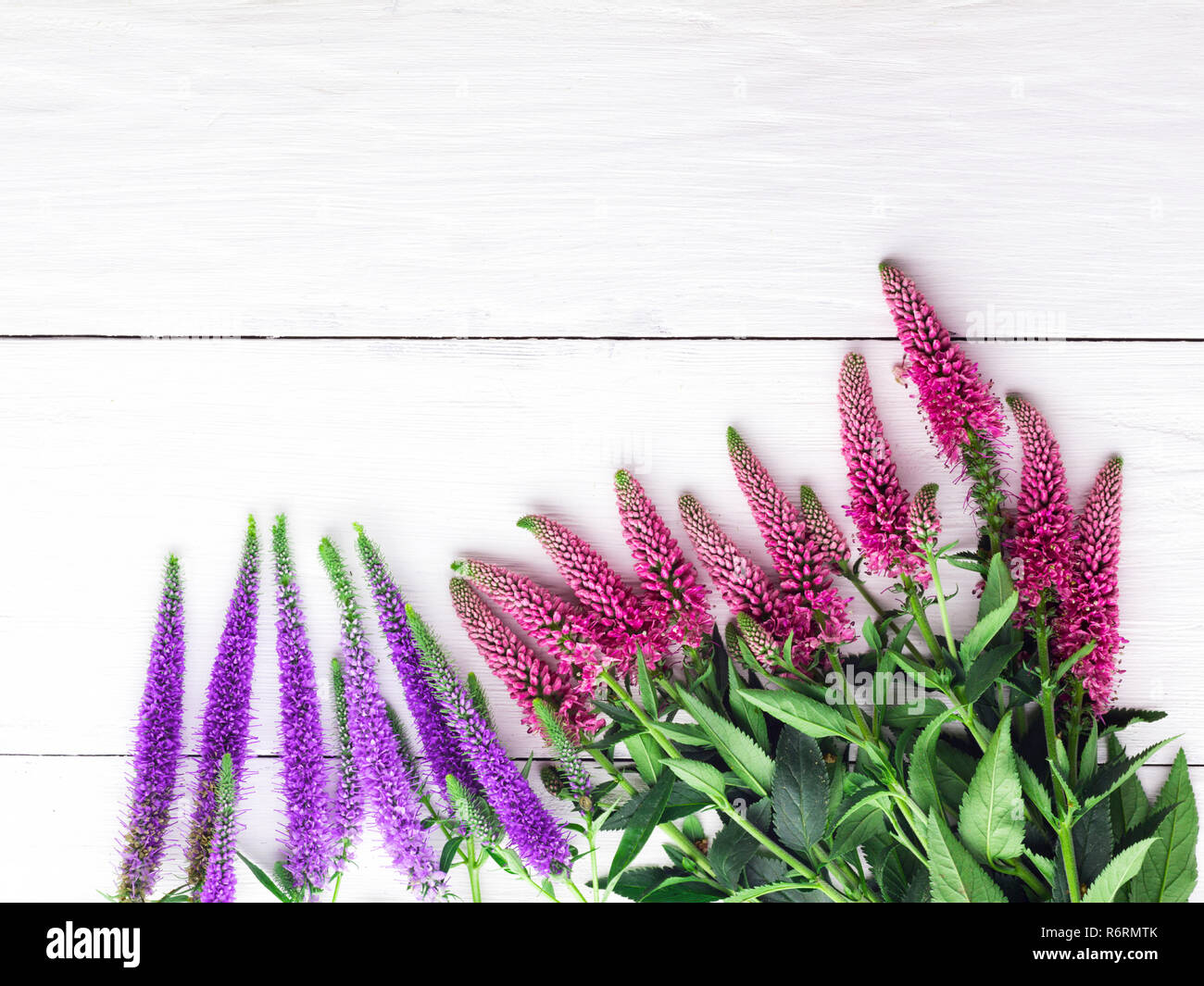 Green nature white hi-res stock photography and images - Alamy