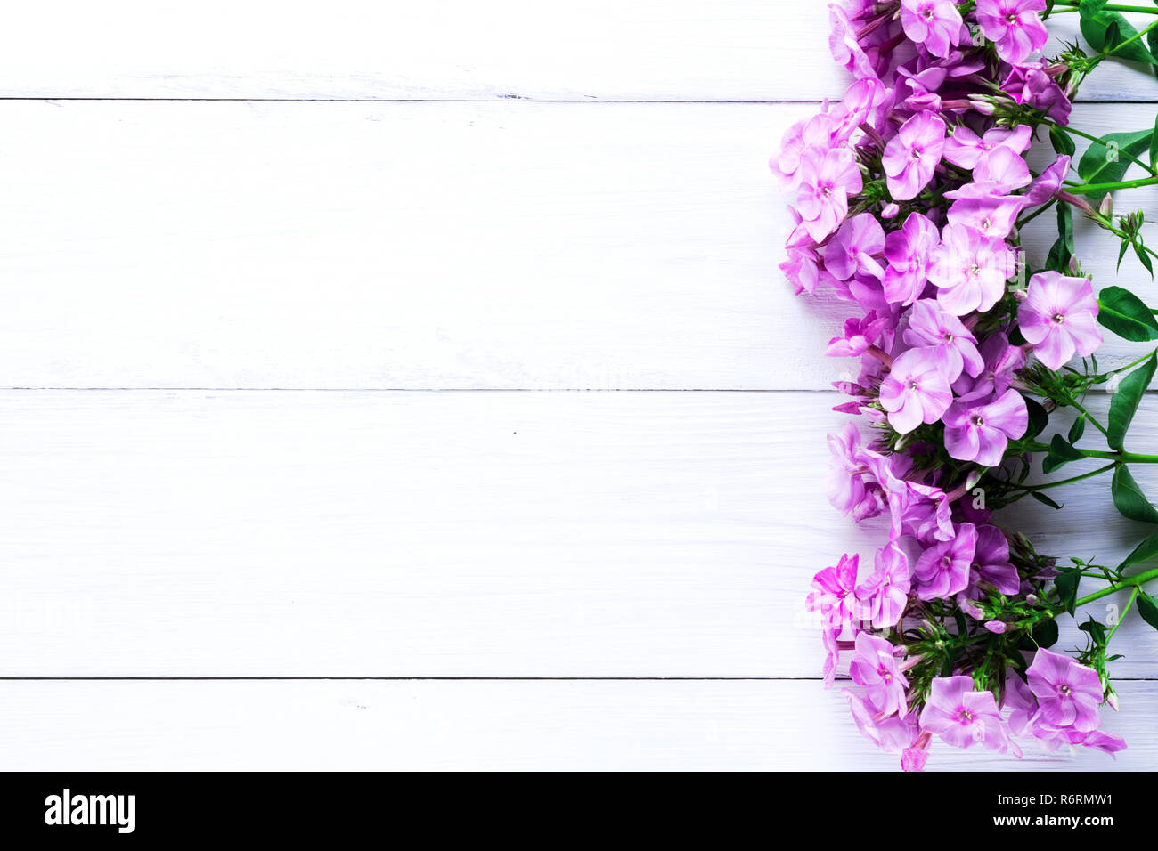 Fresh flowers on white boards Stock Photo - Alamy