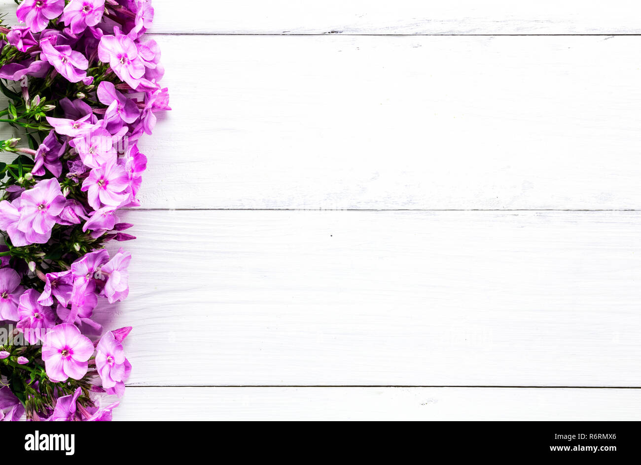 Fresh flowers on white boards Stock Photo - Alamy