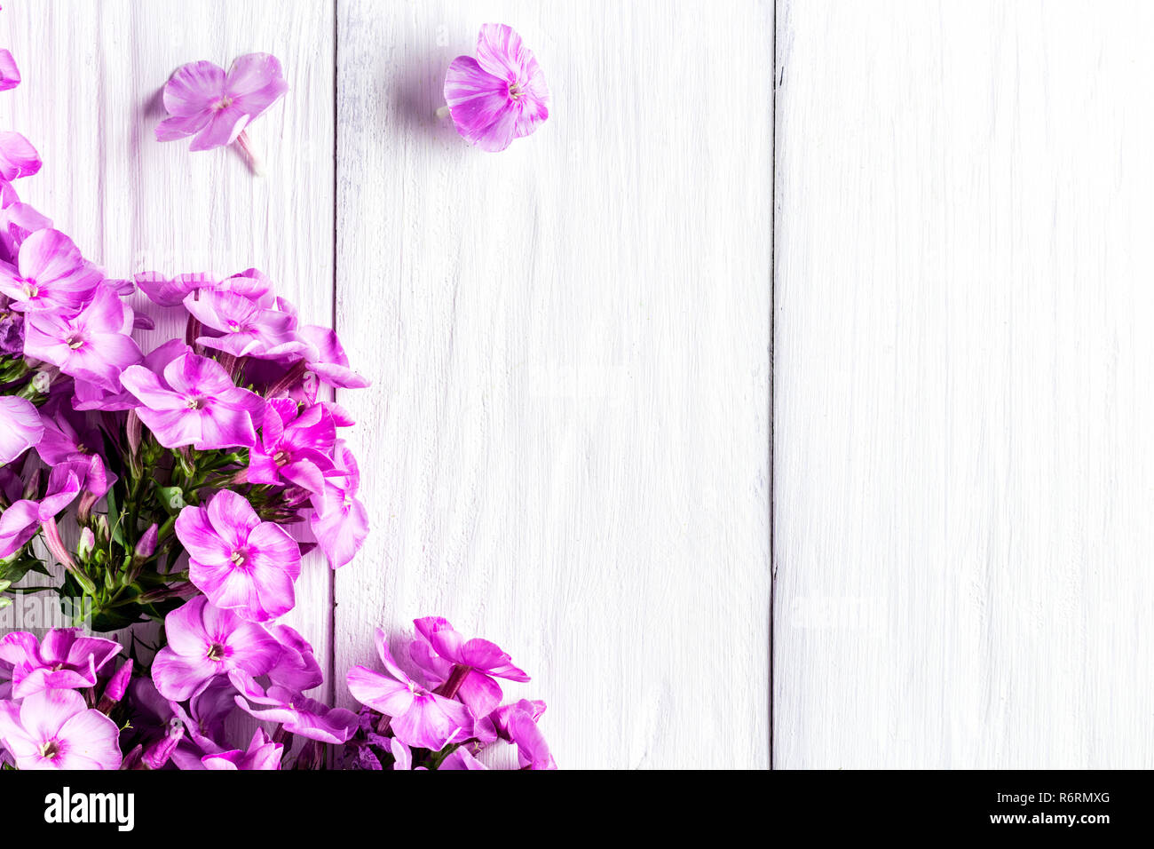 Violet Boards High Resolution Stock Photography and Images - Alamy