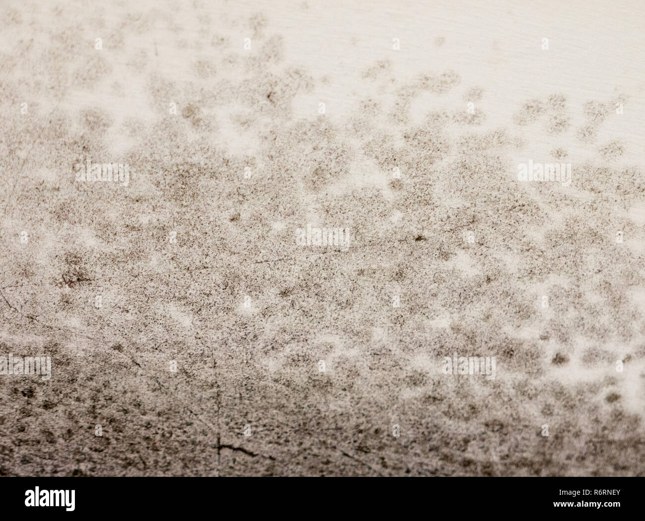 close up texture of mould fungus black spotted growing on wall white ...