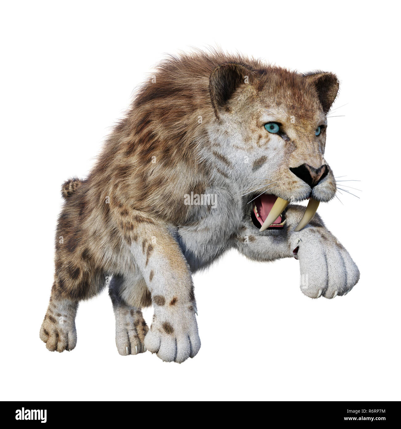 3D Rendering Sabertooth Tiger on White Stock Photo - Alamy