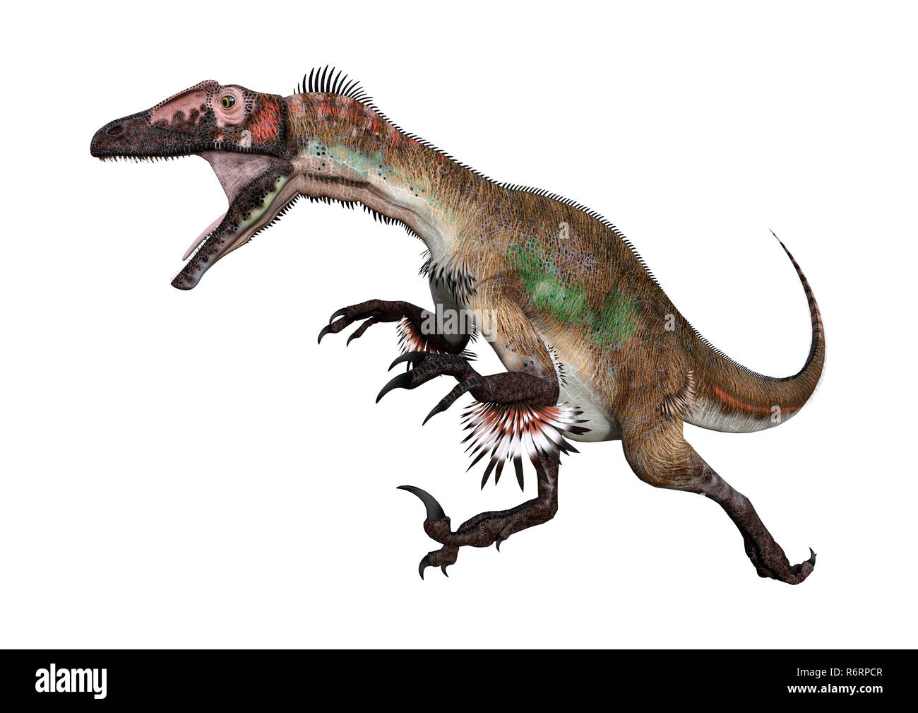3D Rendering Dinosaur Utahraptor on White Stock Photo - Alamy
