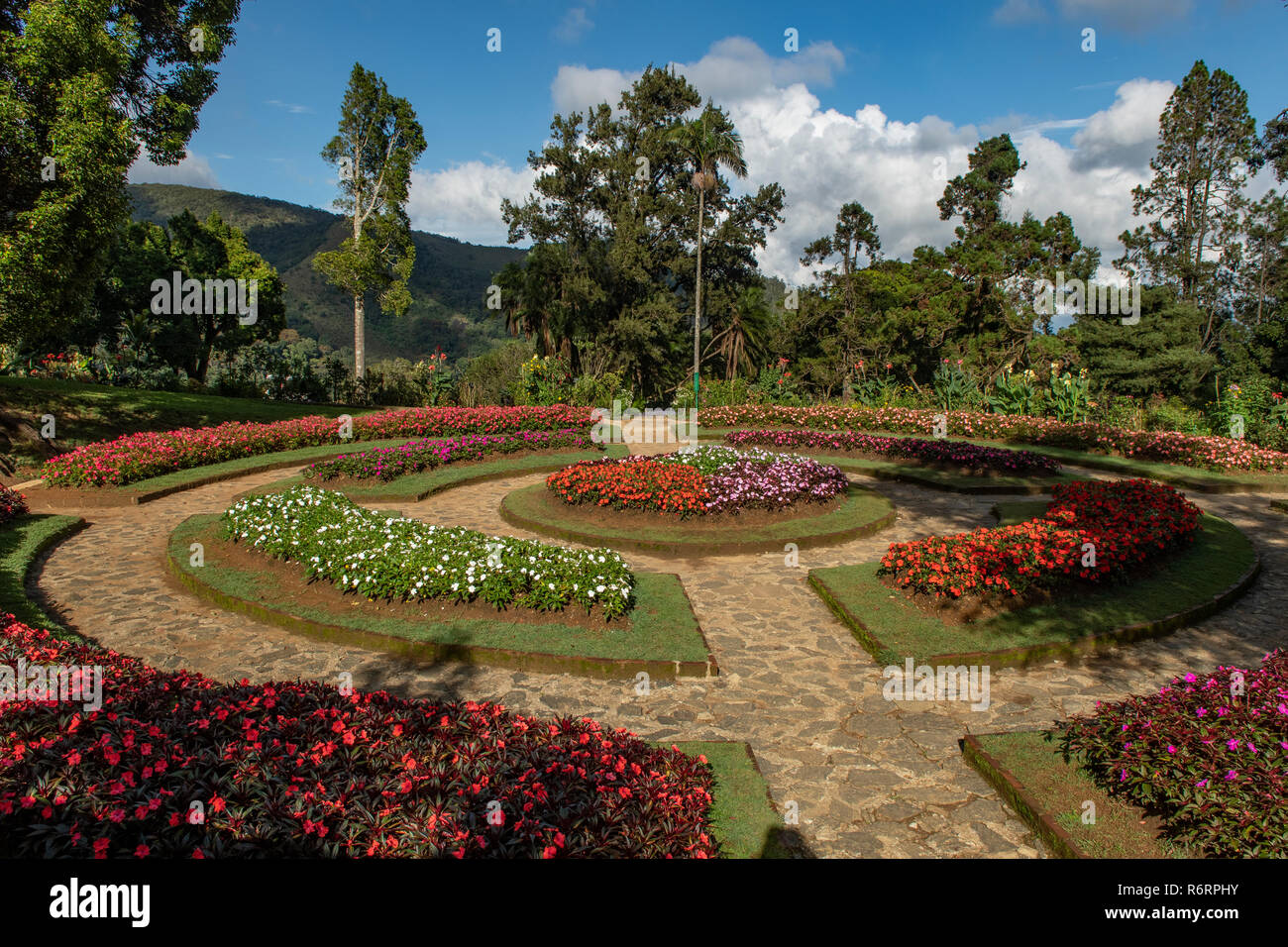 Haggala Botanical Gardens, Nuwara Eliya, Sri Lanka Stock Photo - Alamy