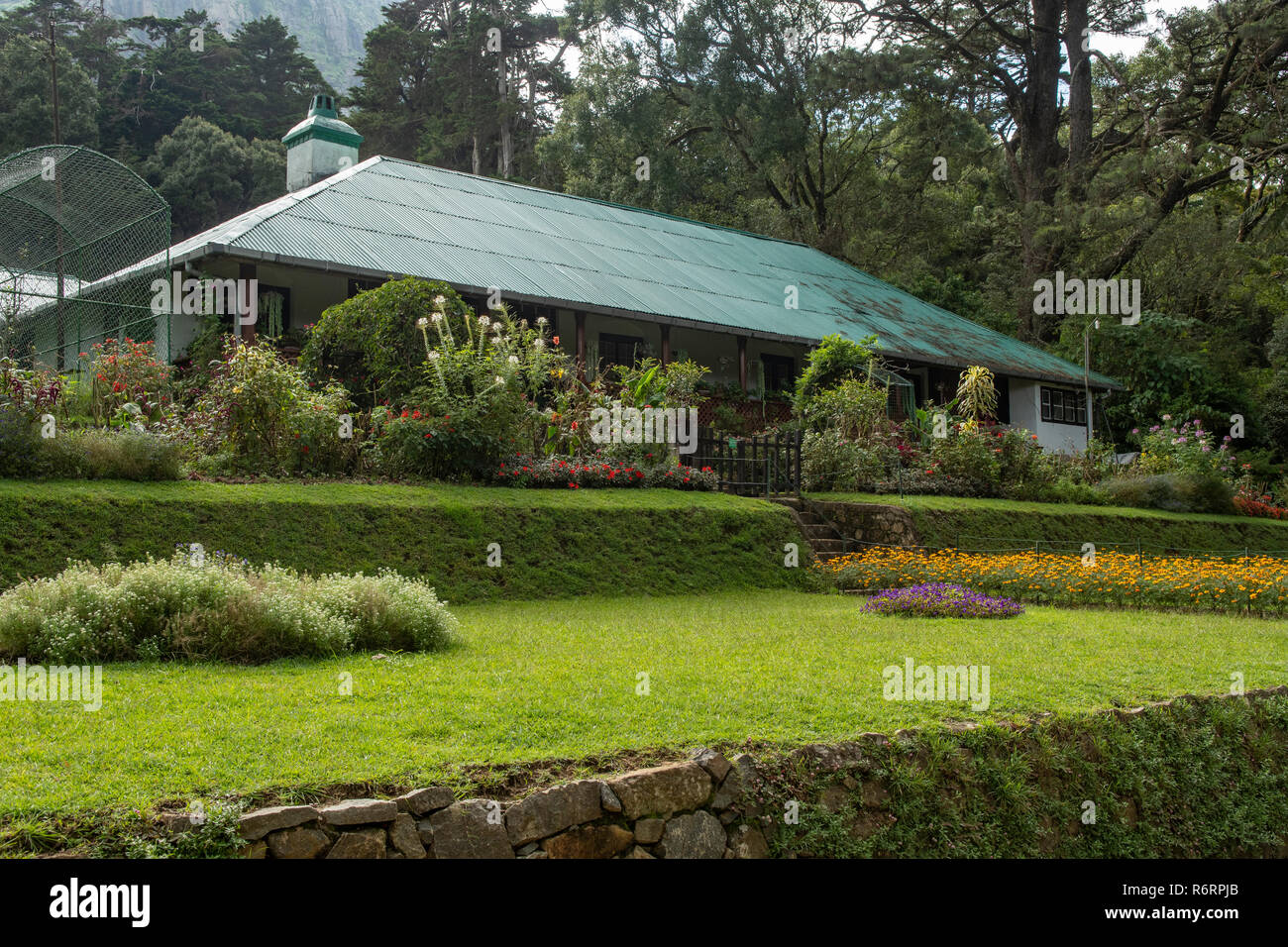 Haggala Botanical Gardens, Nuwara Eliya, Sri Lanka Stock Photo - Alamy