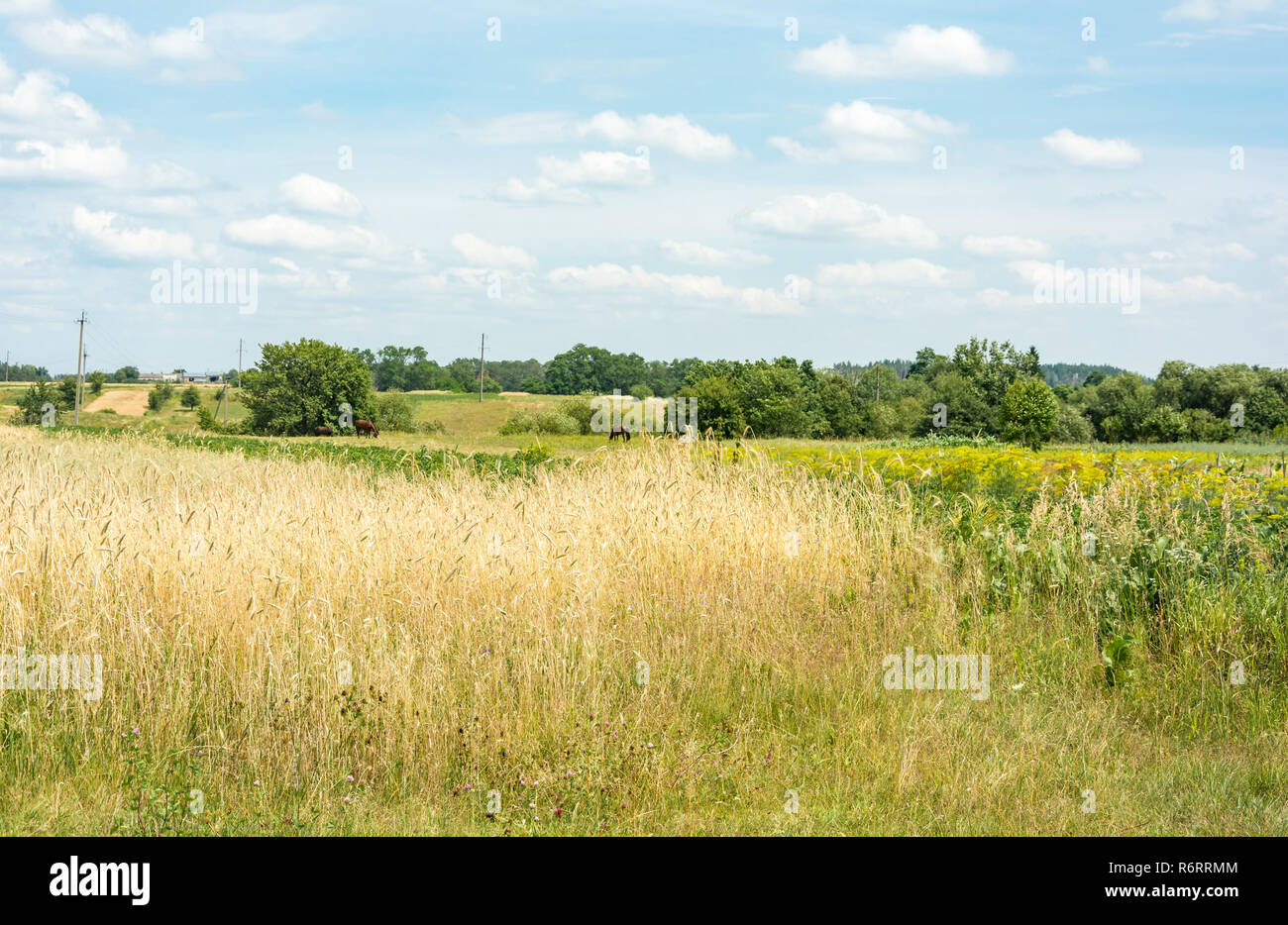 The stunning view of the countryside Stock Photo - Alamy