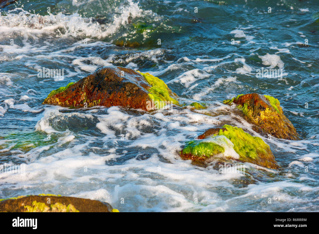 Water seaweed rocks hi-res stock photography and images - Alamy