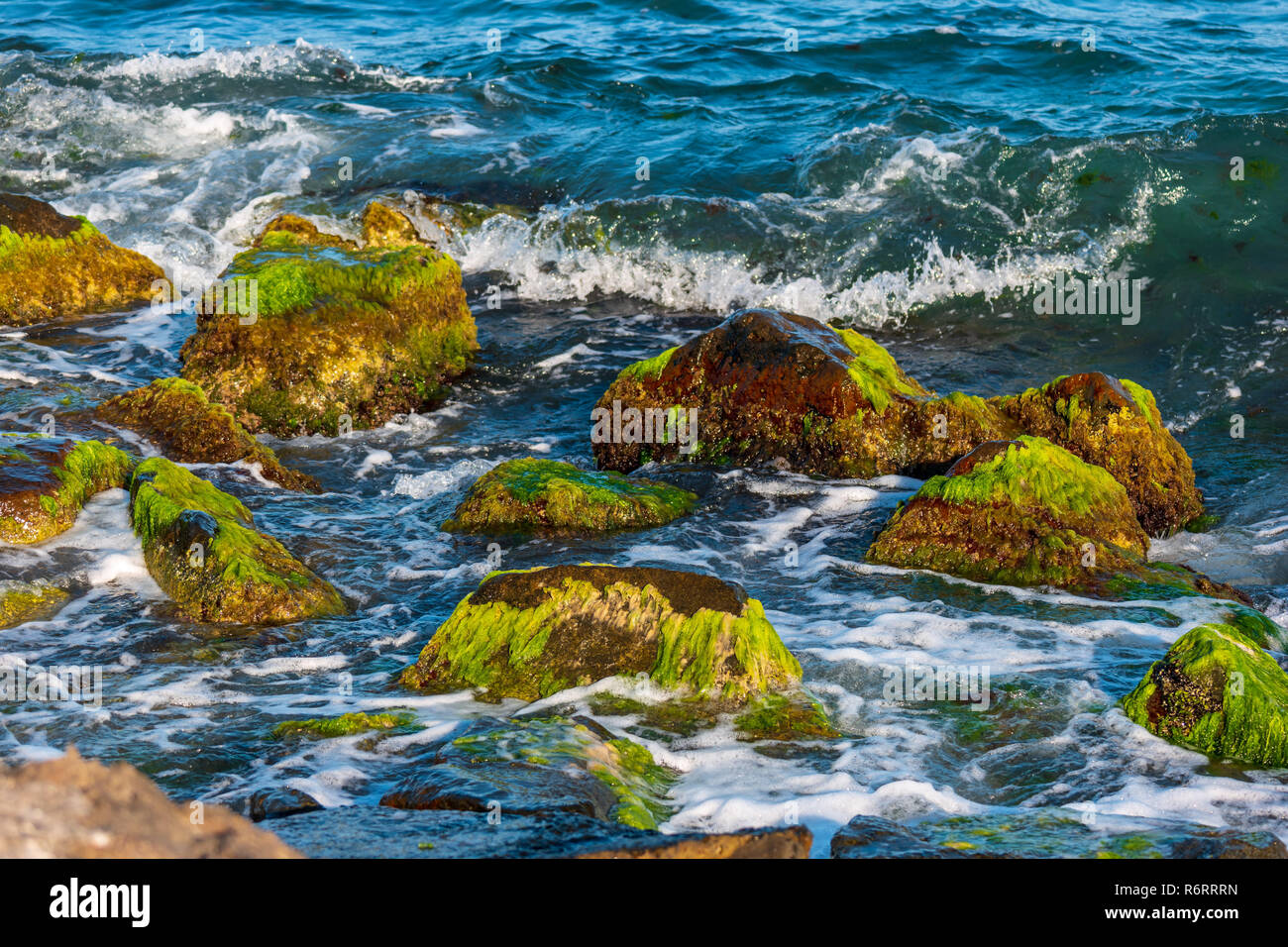 Water seaweed rocks hi-res stock photography and images - Alamy
