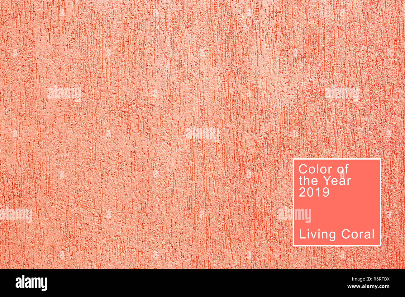 Texture of coral plaster bark beetle. Living coral. Color of the 2019 ...