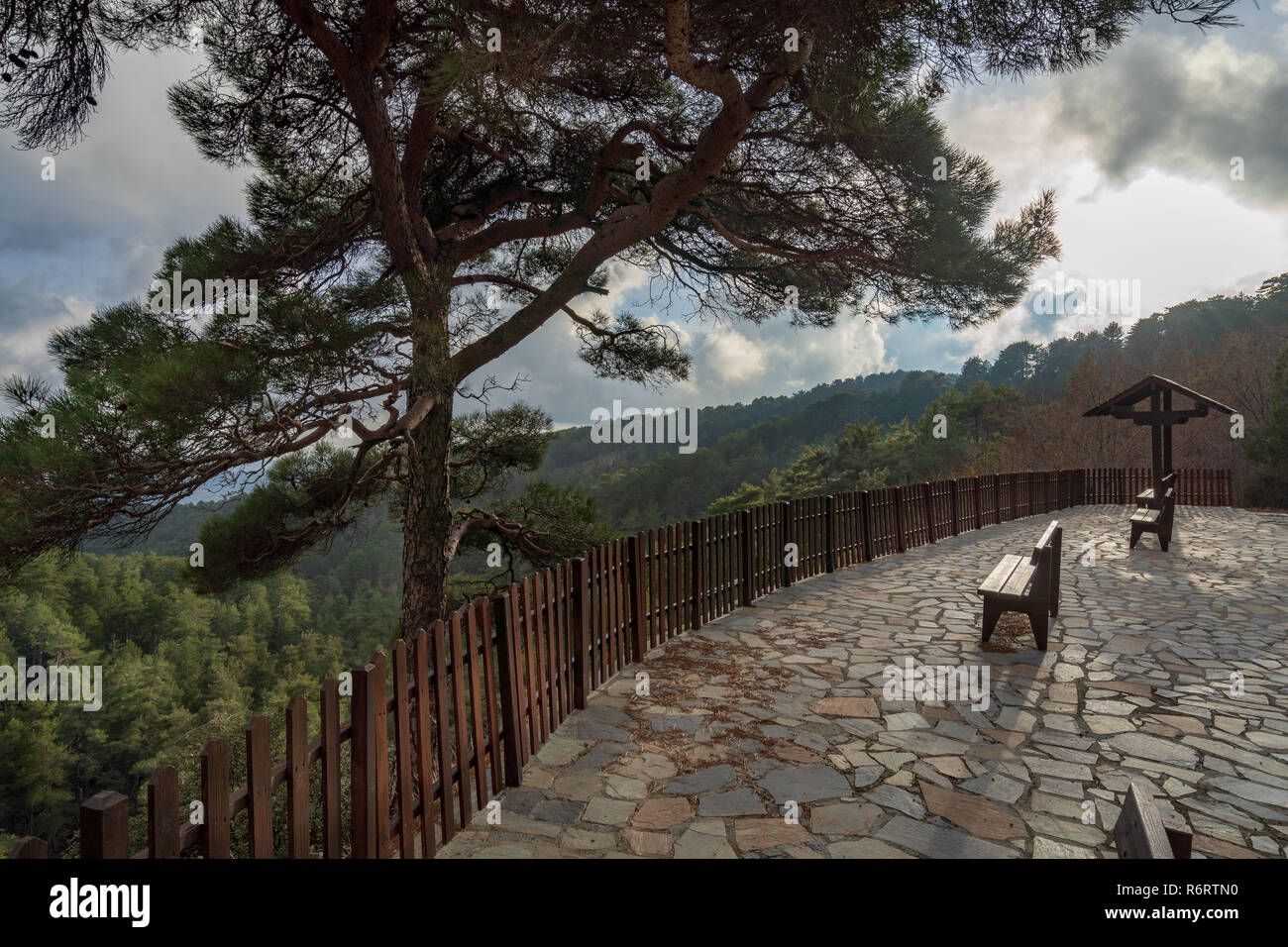 View form a Plateau to the Cyprus Hills and a big Pine Tree in front of ...