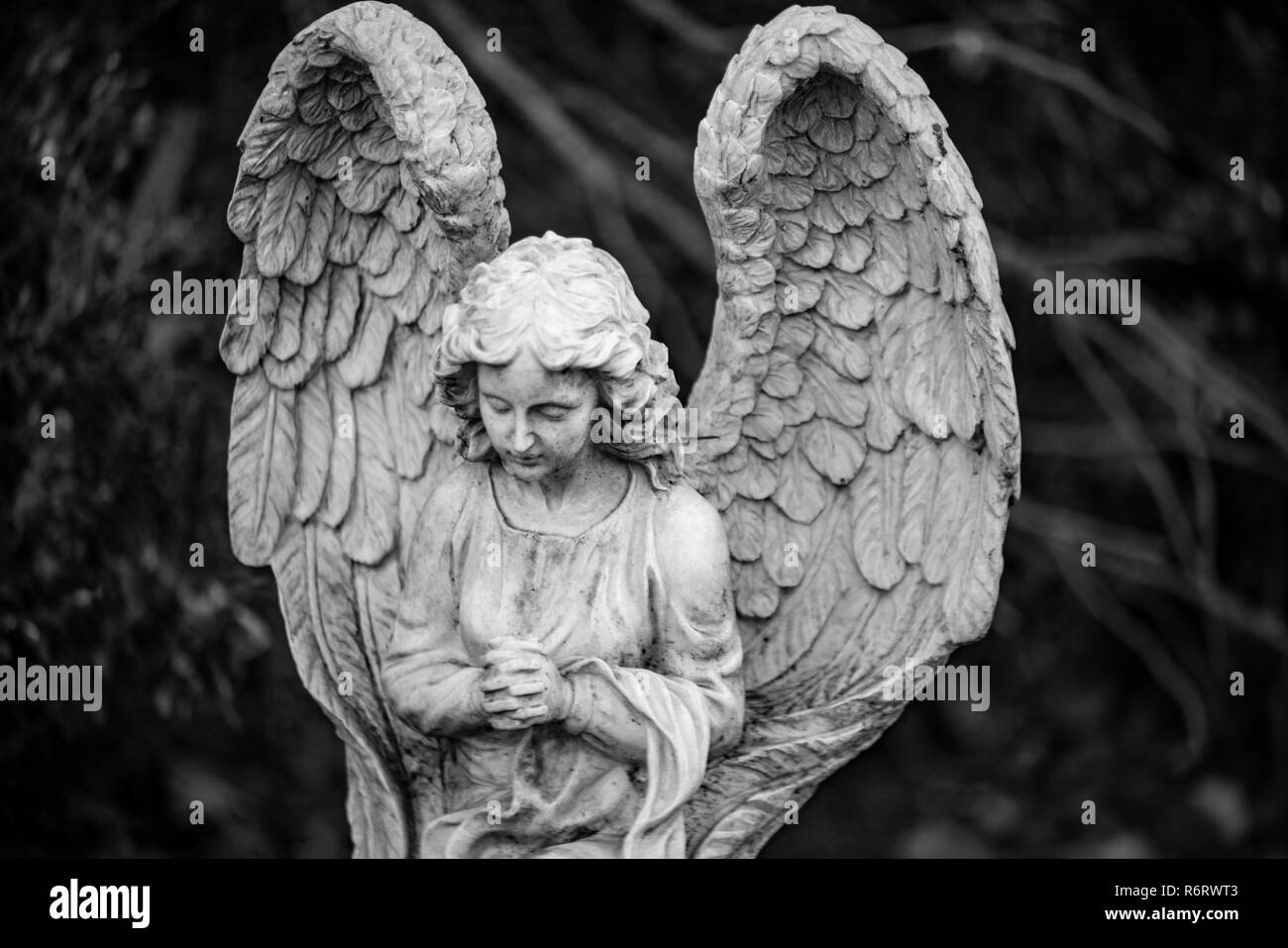 Statue of an angel on german cemetery in Berlin Tegel Stock Photo - Alamy
